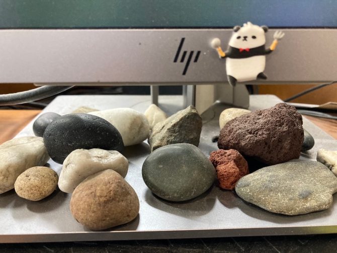 National Library Week Staff Spotlight: Erica Siskind, Children’s ...