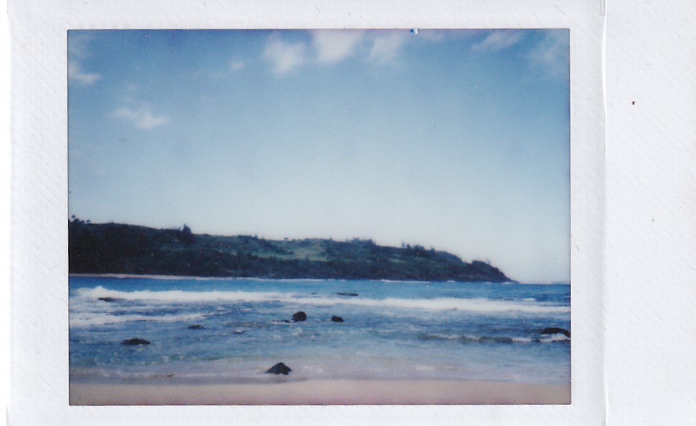 Shoreline | Oakland Public Library