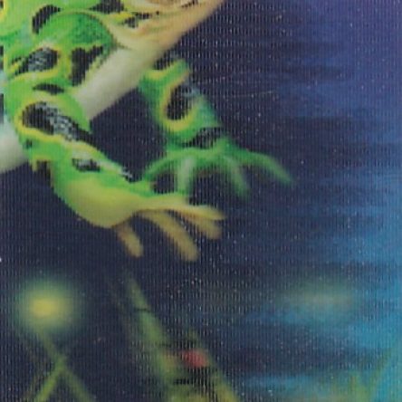 leaping frogs | Oakland Public Library