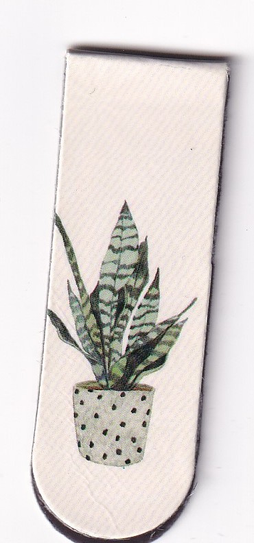 Shiny plant | Oakland Public Library